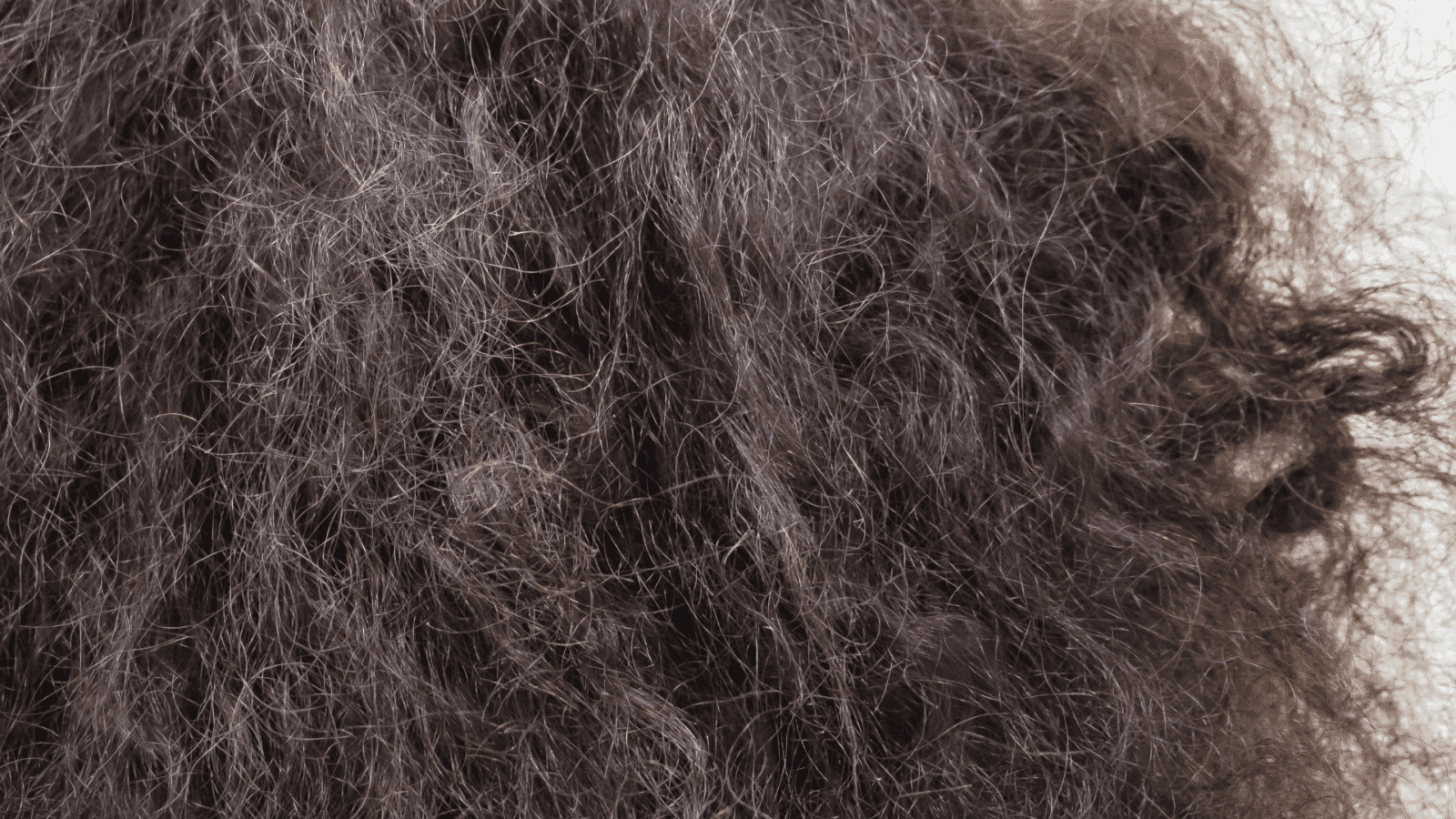 The Ultimate Guide | How to Tell the Quality of Hair Extensions ...